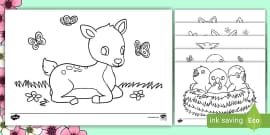 Spring Colouring Pages | Primary Resources (Teacher-Made)