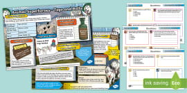 LKS2 Digging for Details: The World's Most Famous Portraits