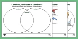Animals from African Countries Omnivore Carnivore or Herbivore Venn Diagram
