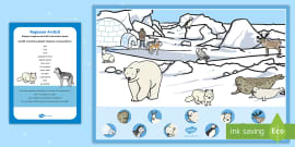 Tapiz de vocabulario: Los animales polares (teacher made)