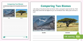 Research a Biome Activity Sheet - KS2 - Geography - Twinkl