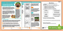 KS1 Hedgehogs Differentiated Reading Comprehension Activity
