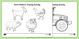 Minibeasts Pattern Tracing Activity (teacher made) - Twinkl