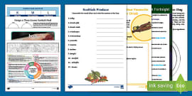 Scottish Food map Display Poster - Scottish Food Map