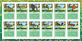 Juego de mesa: Trivial de animales marinos - Twinkl Board Games