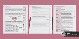 KS3 Waves: Sound Waves (teacher made) - Twinkl