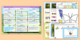 Childminder Butterfly Life Cycle Resource Pack - Twinkl