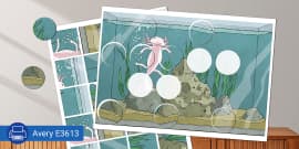 Axolotl Fact File Template, Axolotyl (teacher made) - Twinkl