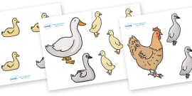 The Ugly Duckling Story Sequencing Colour (A4) - Twinkl