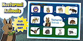 Grade 2 Life Skills Term 4 Ways We Communicate Worksheet (CAPS)