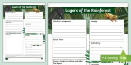 Amazon Rainforest Fact file Template (teacher made) - Twinkl