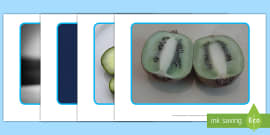 Real Life Half and Half Pictures | Primary Resources