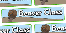 What is a Beaver? – Beaver Facts for Kids – Twinkl