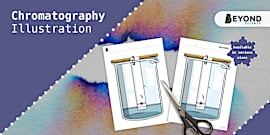 Chromatography Diagram Illustration Sheet