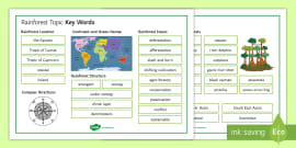 Rainforest Word Search - Geography - Primary Resource