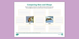 Erik the Red Mind Map (teacher made) - Twinkl