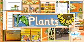 Science Knowledge Organiser: Plants Year 3 - Twinkl