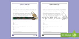 Barn Owls Non-Chronological Report and Reading Comprehension