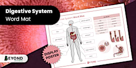 Label the Digestive System Worksheet | Twinkl Science