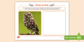 Describe the Owl Writing Worksheet, describe owl, owls