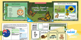 Living and Non-Living Things PowerPoint | Examples - Twinkl