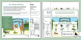 Zoo Animal Matching Game Printable Resource | Twinkl USA