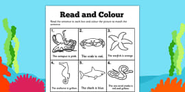 EYFS Under the Sea What Am I Interactive PowerPoint Game Photos