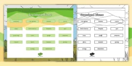 Grassland Biome Flipbook (Teacher-Made) - Twinkl