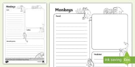 KS1 All About Monkeys Differentiated Reading Comprehension