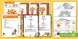 Autumn Educational Activities | Seasons | Primary Resources