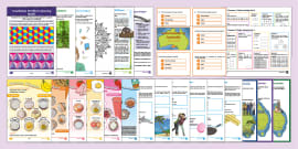 Back to Primary School | Teaching Resources Australia | Twinkl