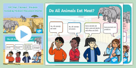 Animal Food Chain Information PowerPoint - KS1