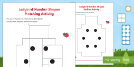 Doubles to 20 Ladybird Worksheet / Worksheet - doubles, 20, ladybird