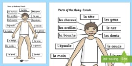 French Body Parts Vocabulary Cards - france, languages, EAL