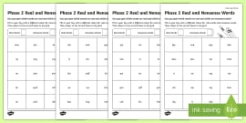 Phase 4 Colour by Initial Blends Real and Nonsense Words Worksheet
