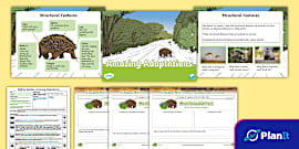 What is Adaptation? | Types of Adaptation | Twinkl - Twinkl