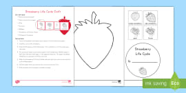 Seasons Cut and Paste Activity (teacher made)