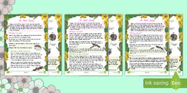 LKS2 Spring Differentiated Reading Comprehension