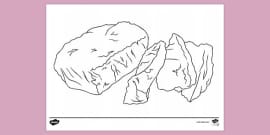 Beef Cuts Colouring | KS1 Colouring Sheets | Twinkl - Twinkl