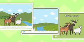 The Three Billy Goats Gruff Word Cards Arabic Translation - arabic