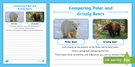 Label the Grizzly Bear Worksheet (teacher made) - Twinkl