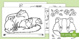 Describe the Badger,badger (teacher made) - Twinkl