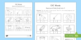 CVC Words 'e' Cut and Paste Worksheets