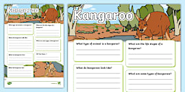 Kangaroo Fact Sheet (teacher made) - Twinkl