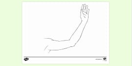 FREE! - Bent Waving Arm with Arrow Colouring Sheet - Twinkl
