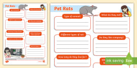 Rat Fact File Template (Teacher-Made) - Twinkl