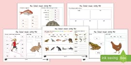 Quick Reads Activity Pack - New Zealand Marine Mammals