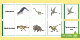 Realistic Dinosaurs Word Cards (teacher made) - Twinkl