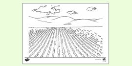 FREE! - Grass Colouring Sheet | Colouring Sheets - Twinkl