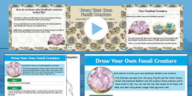 Types of Fossils Display Posters | Twinkl Originals